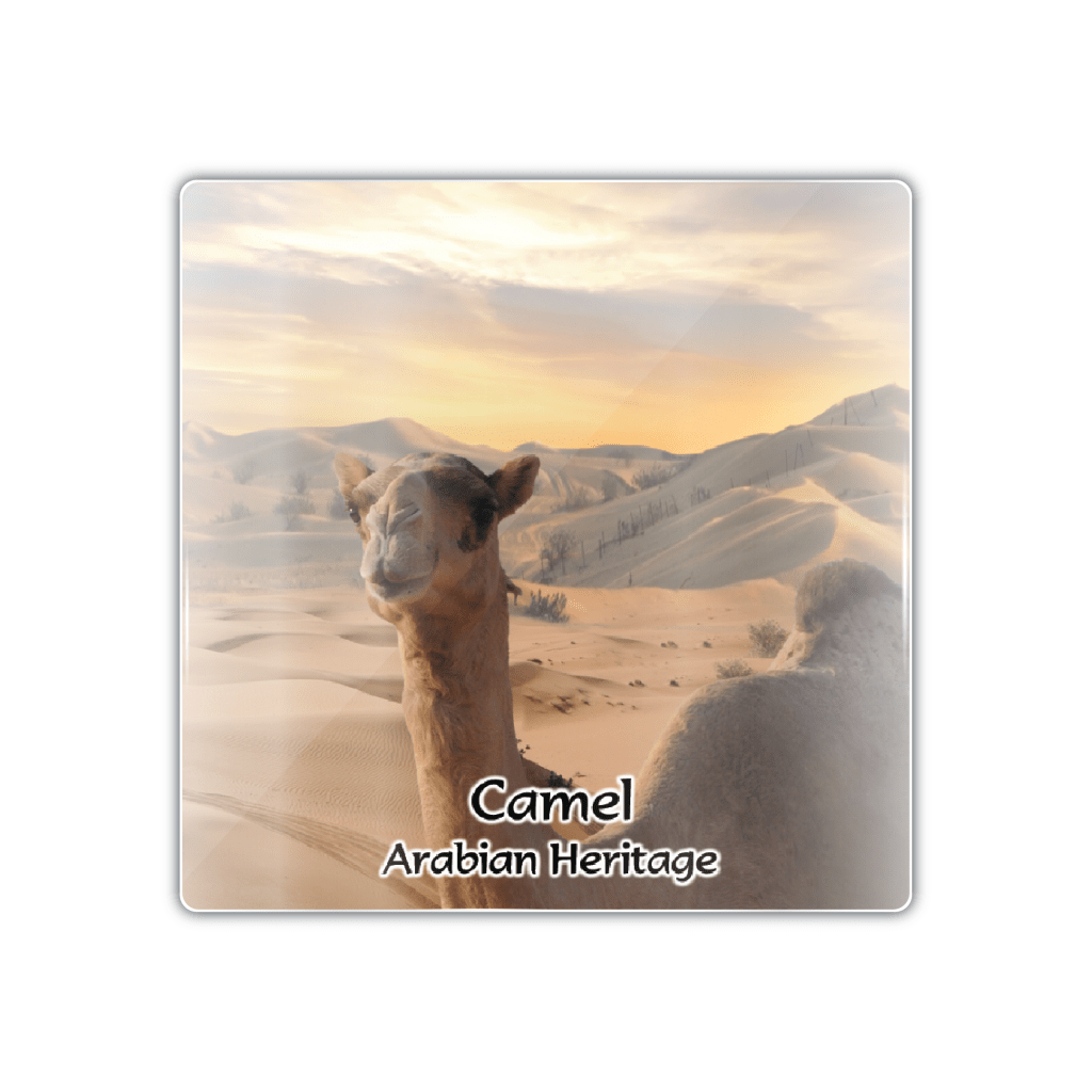 Dubai Camels Magnet - Custom Labels | Stickers | Personalised Gift in Dubai